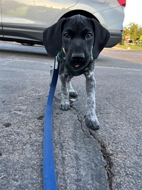 Her Name Is Jade Rgsp