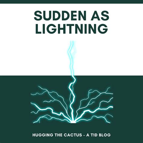 Sudden As Lightning Hugging The Cactus