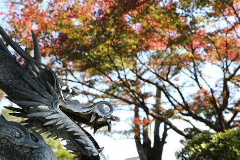 日蓮正宗公式ホームページ総本山大石寺総本山の四季
