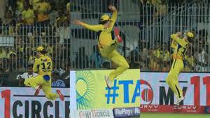 Shashank Singh Falls Prey To Dewald Brevis Picturesque Catch During