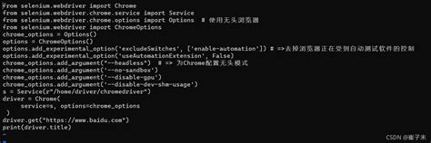 Linux下部署selenium爬虫程序谷歌爬虫工具支持linux吗 Csdn博客