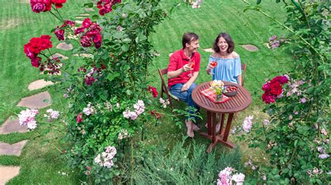 낭만적 인 날짜에 아름다운 장미 정원에서 음식과 와인을 즐기는 젊은 부부 공원에서 야외에서 함께 먹고 마시는 남자와 여자의 위에서 공중 최고 보기 2명에 대한 스톡 사진 및