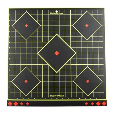 Birchwood Casey Shoot N C® Target