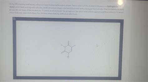 Solved In The 2d Drawing Tool Below A Thymine Base From A
