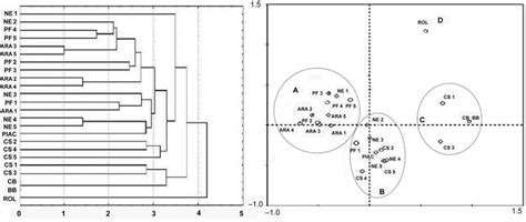 Cluster Dendrogram Unweighted Pair Group Method With Arithmetic