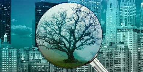 Linux 文件系统详解 Linux资讯