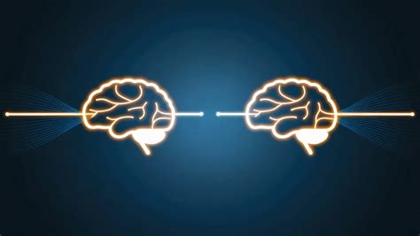 Quantum Brain Link How Comatose Patients Mysteriously Shared Neural Activity