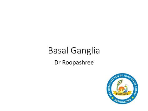 Solution Basal Ganglia Studypool Solution Basal Ganglia Studypool