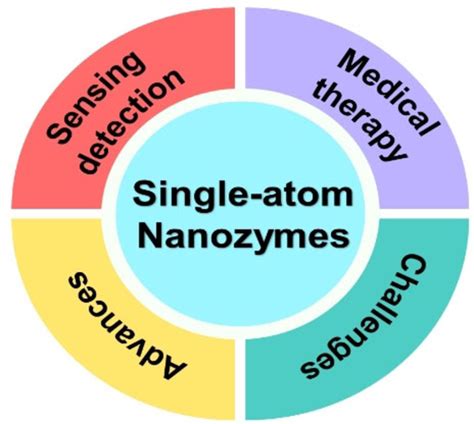 Single‐atom Nanozymes For Biomedical Applications Recent Advances And