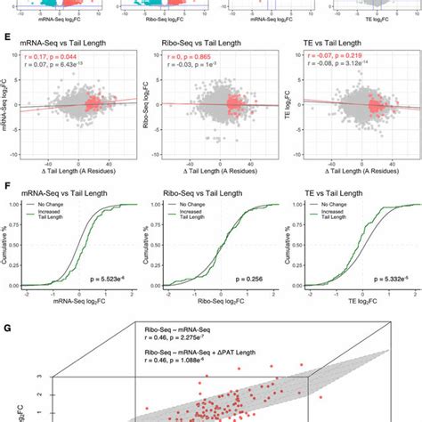 Interplay Between Poly A Tail Length Mrna Expression And Translation Download Scientific