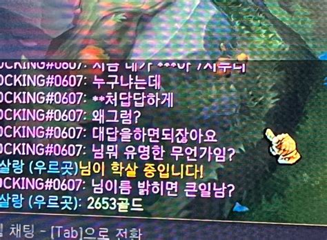 당근마켓 리그오브레전드 패드립 고소 지식in