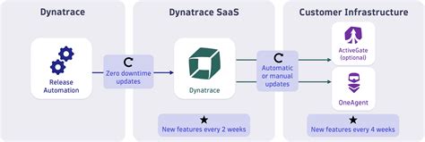 Data Security Controls — Dynatrace Docs