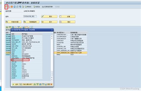 Sap Query报表的简单使用 Csdn博客