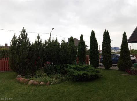 Meizu M Review A Great Cheap Smartphone Gizmochina