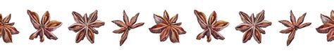 흰색 배경에 매끄러운 림 수채화 바디안 디저트 또는 음료 요리 책 또는 주방 장식을위한 손으로 그린 조미료 아니스 아로마 브라운 크리스마스 음식 벽지 포장을위한 향기로운
