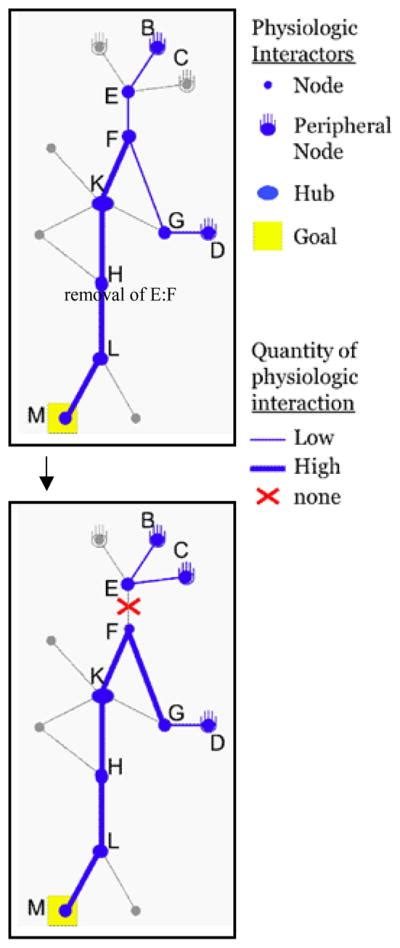 Top Panel Binary Ppi Data Provides The Network Of All Known Possible
