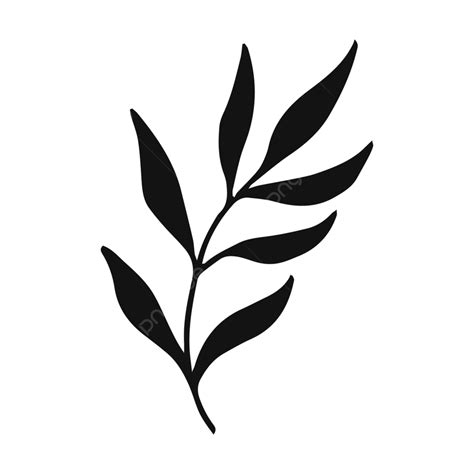 Hand Drawn Plants Outline Style Nature Flourish Png And Vector With