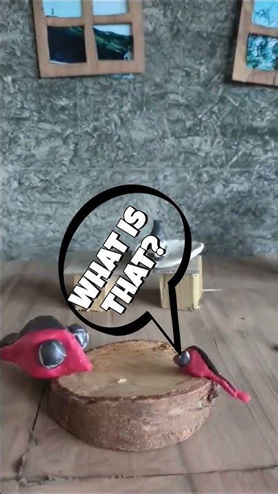 Nibits Strange Encounter Stopmotionanimation Animation Youtube