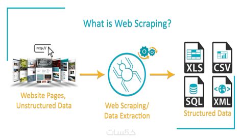 استخراج البيانات من موقع الويب Data Extract Web Scraping خمسات