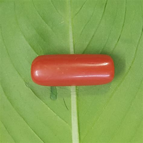 Moonga Red Coral Gem Selections