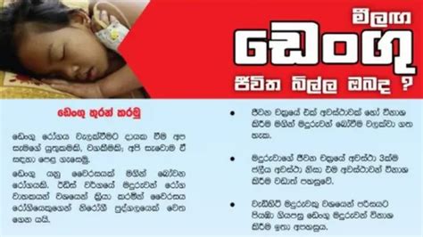 මදුරුවන්ගේ ලිංගික හැසිරීම නැවැත්වීම තුළින් ඩෙංගු මර්දනයට නව පිළියමක්