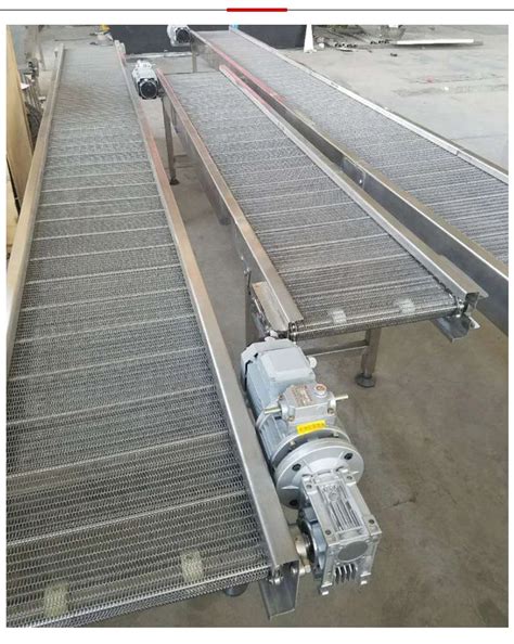 Food Grade Food Processing Ss 304 316 Chain Driven Wire Mesh Conveyor
