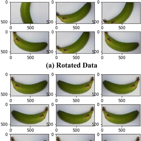 Sample Images In Banana Ripeness Dataset Download Scientific Diagram