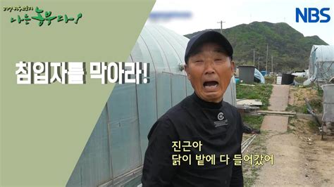 나는 농부다 순수 청년 진근 씨 농부가 돌아왔다 닭들의 습격 Youtube