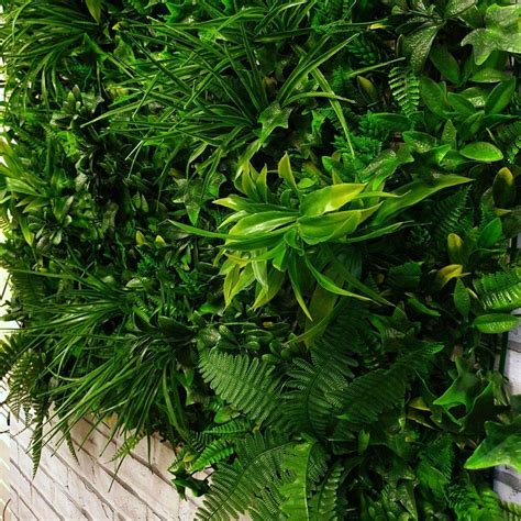 Premium Artificial Green Wall Panel 1m X 1m Forest Fern Evergreenery