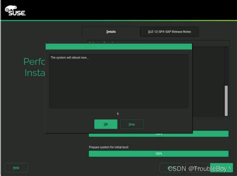 sap之suse for sap 12 sp5安装教程 超详细 sap 虚拟机 版本 csdn博客