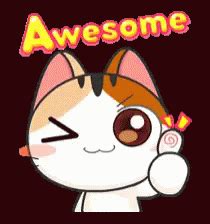 Awesome Cat Thumbs Up 