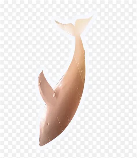 Png Png