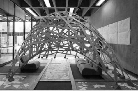 Elastic Timber Gridshell Parametric House