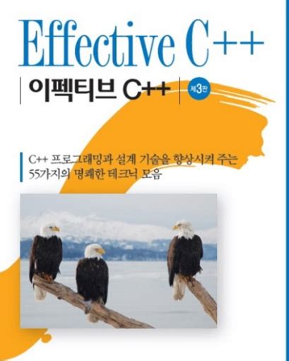 시리즈 Effective C Foeolog