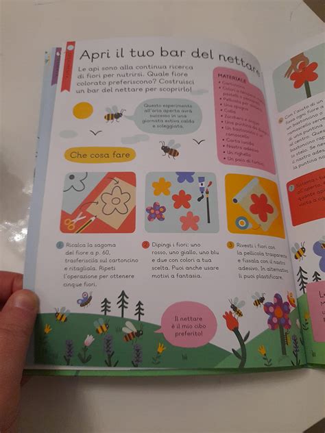 Il Mio Pianeta Api Osserva Sperimenta Crea Quigley Andrea
