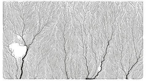 Growth Pattern Generative Branching Structure Organic Net Of Vessels Texture Stock Vector
