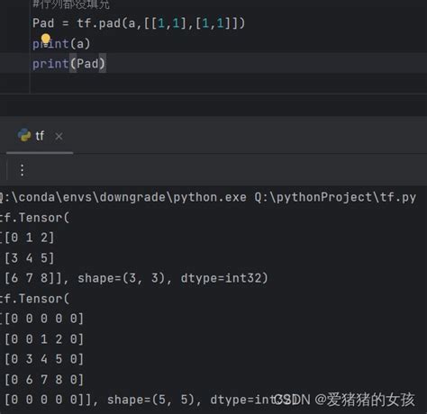 张量的填充与复制 Csdn博客
