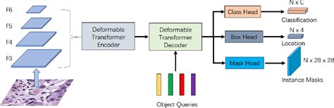 Figure 1 From An Efficient Transformer Based Approach For Joint Nuclei Detection And