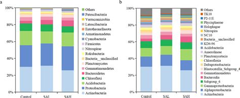 Bacterial Community Composition Analysis In Different Treatments Download Scientific Diagram