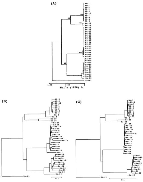 A Upgma Tree A A Neighbor Joining Tree B And A Maximum Likelihood