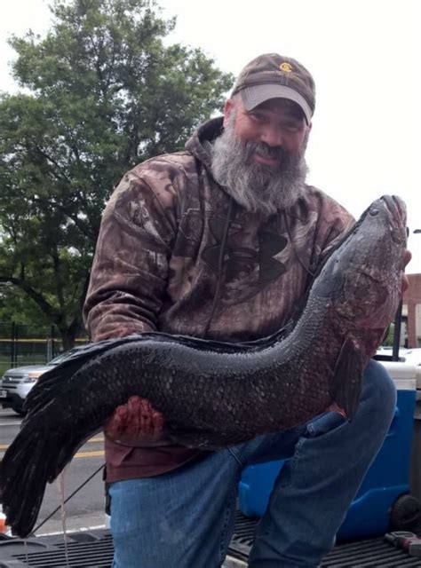 Biggest Snakehead Fish In The World Snakehead Fishing In Maryland