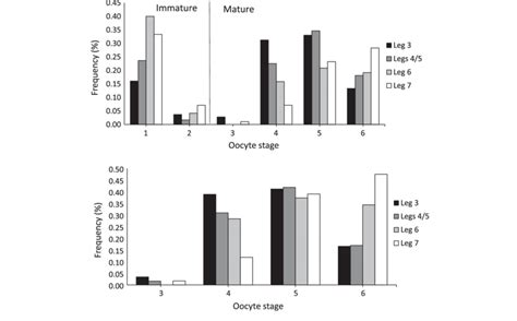 Frequency Of Each Oocyte Developmental Stage Table 3 By Leg Of The