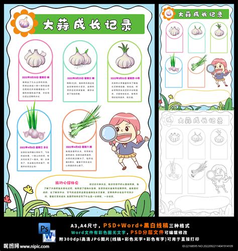 竖版大蒜苗生长观察日记植物小报设计图 其他 广告设计 设计图库 昵图网