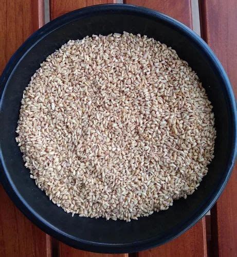 Bb Cashew Nuts At ₹ 600kg In Dombivli Id 2855558066712