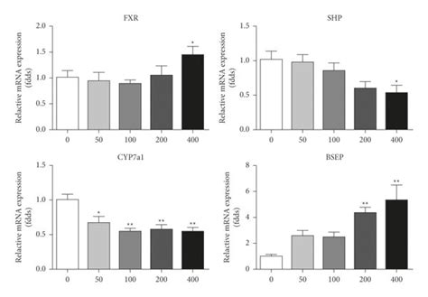 Mrna Level Of Fxr Shp Cyp7a1 And Bsep In L02 Cells Results Are