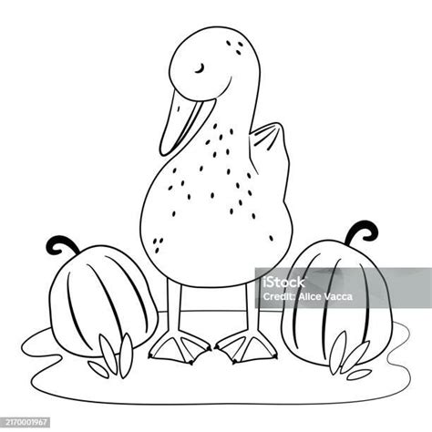 귀여운 손으로 그린 흑백 만화 캐릭터 오리 호박 벡터 일러스트 레이 션은 추수 감사절 휴일에 흰색 배경에 고립 된 색칠 예술을 위해 10월에 대한 스톡 벡터 아트 및 기타