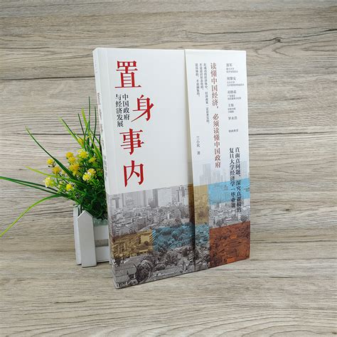 【豆瓣年度】置身事内 中国政府与经济发展 兰小欢著正版包邮 管理书籍 金融投资 中国发展现实的把握 经济学理论 上海人民出版社 虎窝淘