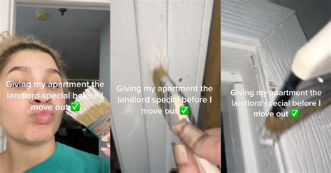 A Tenant Gave Her Apartment The “landlord Special” Before She Moved Out