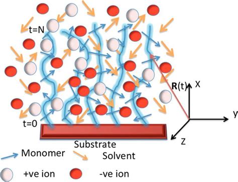 Chemical Physics Of Charged Macromolecules Aip Publishing