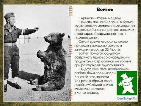 Животные воины Великой Отечественной Войны презентация онлайн